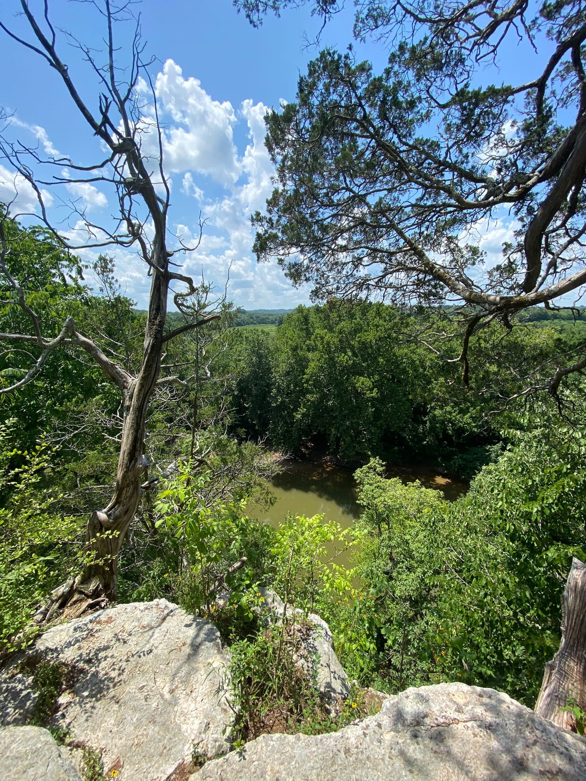 How I fixed webpack tree shaking in 3 easy steps